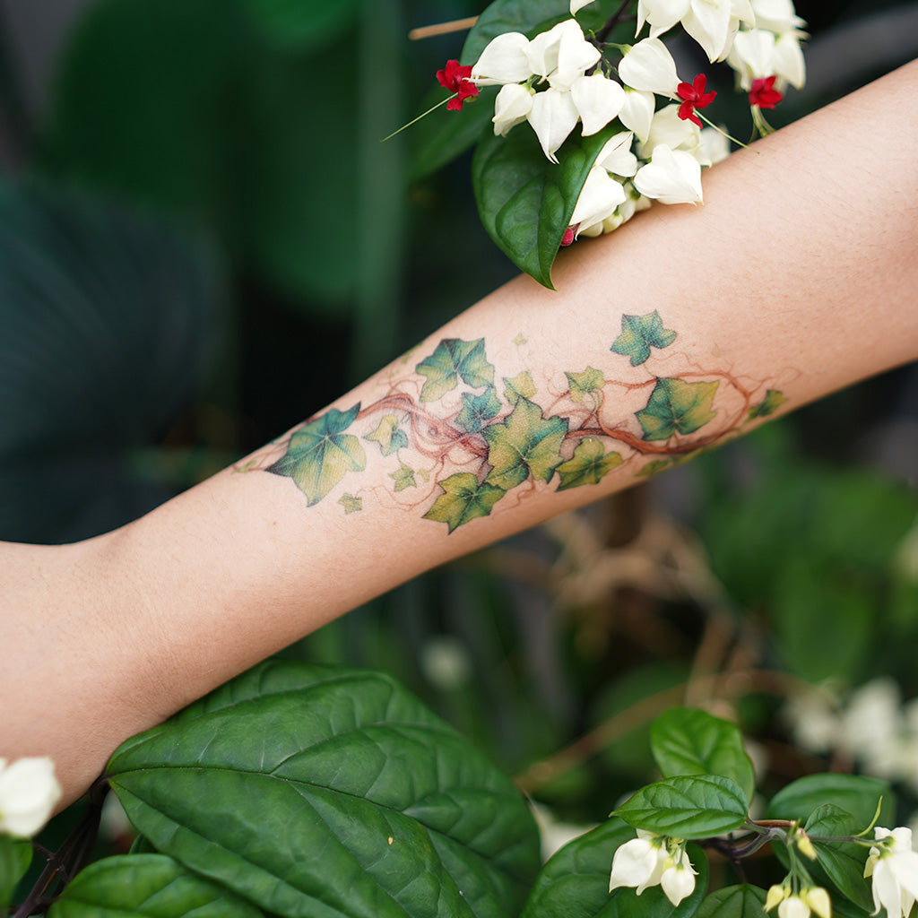 Green Ivy Tattoos Ivy Tattoo – TattooIcon