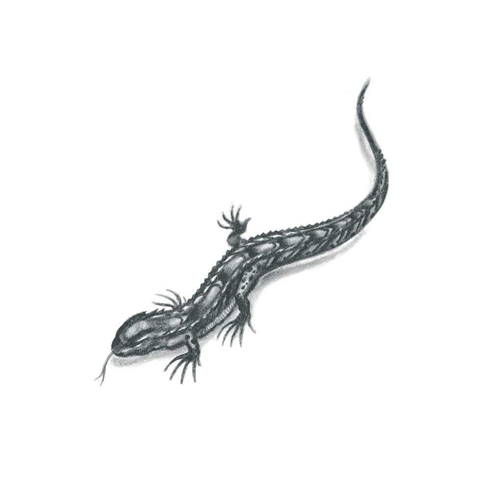 Lizard Tattoo Drawings